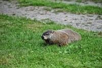 Untitled Document [prod.mrnussbaum.com]