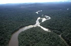 Orinoco River