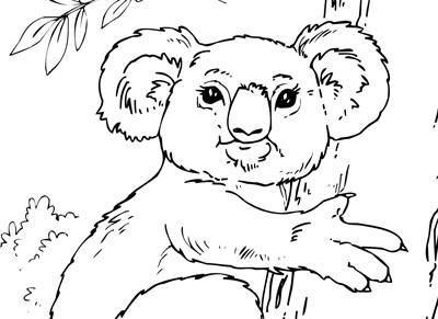 Koala - Australian Animals Coloring
