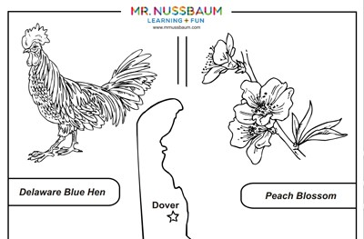 Delaware State Symbols