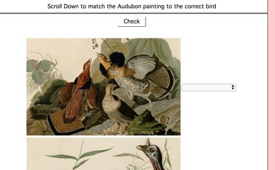 The Works of John James Audubon - Bird Identification