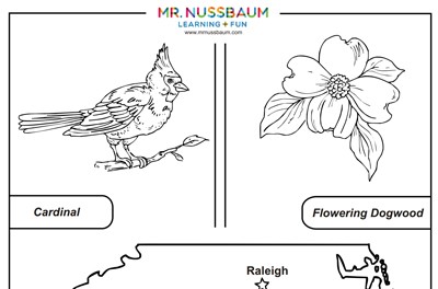 North Carolina State Symbols