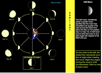 Moon Phases Interactive Chart