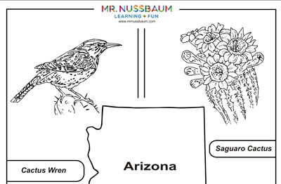 Arizona State Symbols