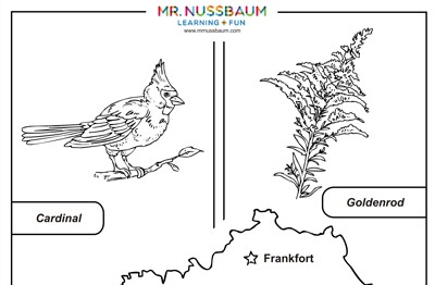 Kentucky State Symbols