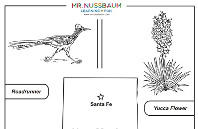 New Mexico State Symbols