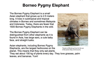 Borneo Pygmy Elephant Fact Sheet and Question Set