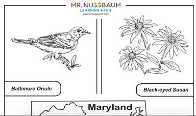 Maryland State Symbols