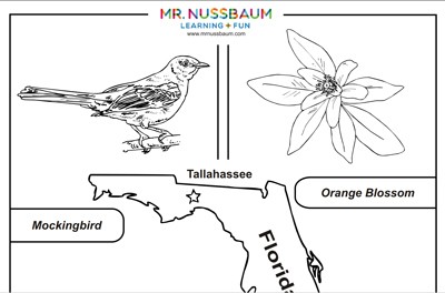 Florida State Symbols