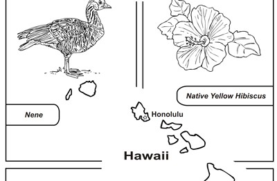 Hawaii State Symbols