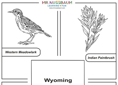 Wyoming State Symbols